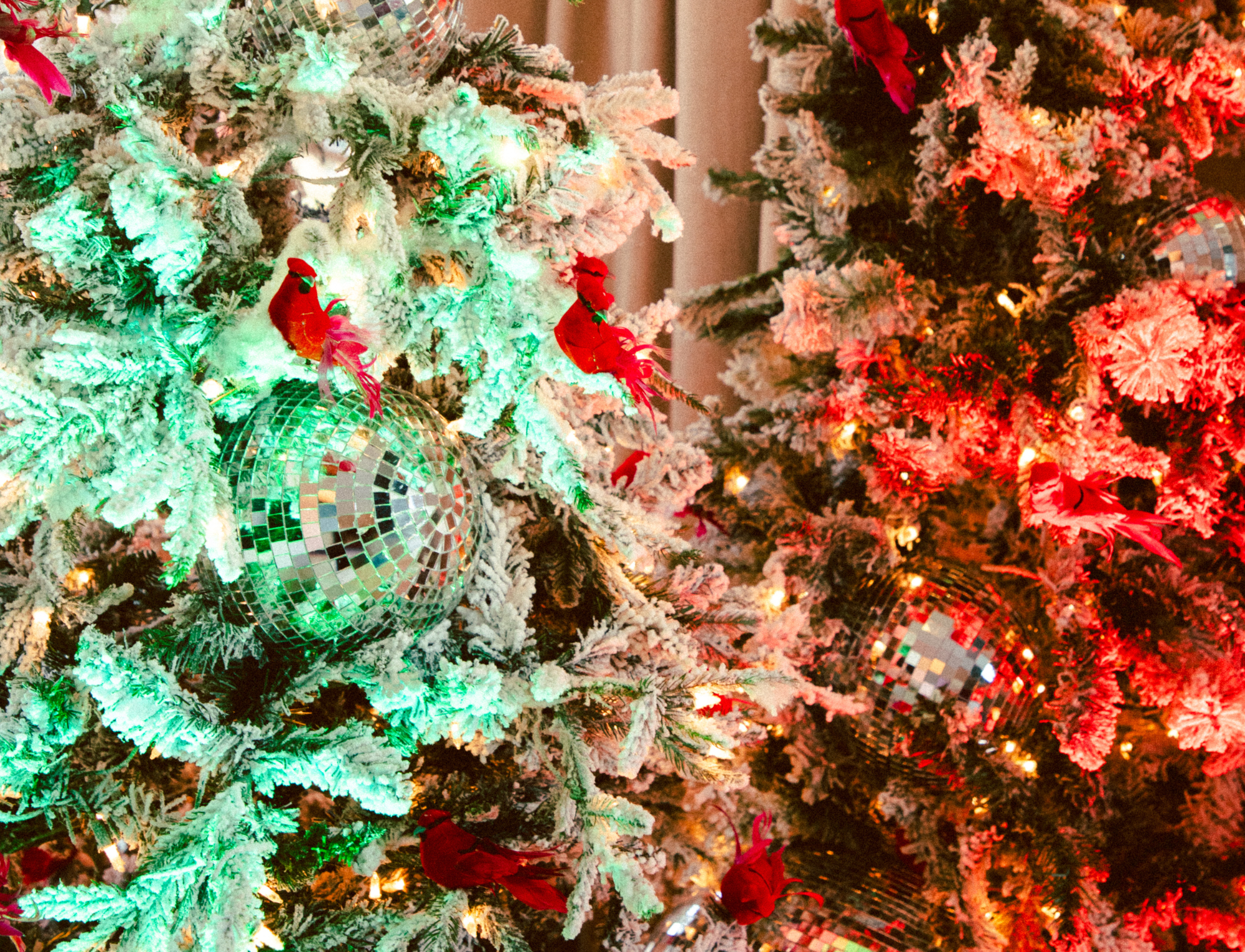 Commons Club | Restaurant and Bar in the Dallas Design District